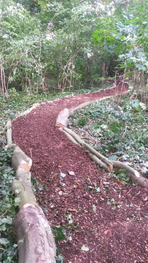 Forest school meandering pathways | Acme Tree Services